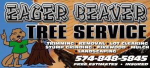 Eager Beaver Tree Service – Eager Beaver Tree Service and Landscaping