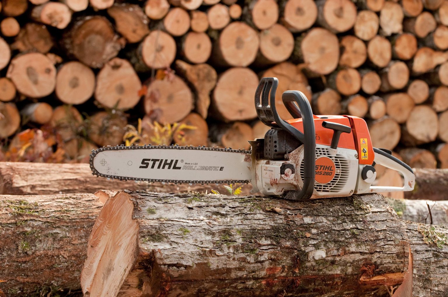 Eager Beaver Tree Service – Eager Beaver Tree Service and Landscaping